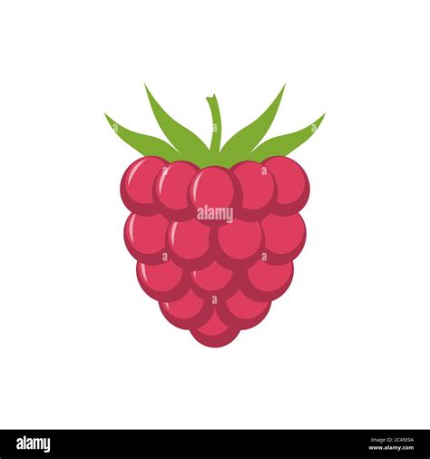 Raspberry With Leaf Vector Icon Raspberry Icon Clipart Raspberry Cartoon Stock Vector Image
