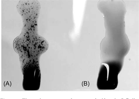 Figure 1 From Self Made Salmonella Pullorum Agglutination Antigen Development And Its Potential