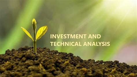 Investment And Technical Analysis Anketör