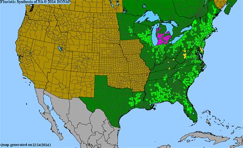 2013 Bonap North American Plant Atlas Taxonmaps