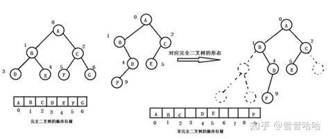 C 数据结构 堆 知乎