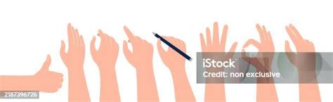 다양한 위치에서 손 제스처 세트 벡터 일러스트 레이 션 흰색 배경에 가리키기에 대한 스톡 벡터 아트 및 기타 이미지 가리키기 개념 교육 Istock