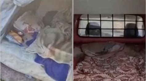 Fermă De Sclavi Descoperită în Argeș Victimele Primeau Doar Pâine și Apă Antena 3 Cnn