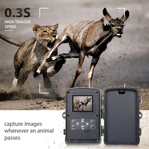 Wildlife Camera 20mp 1080p Trail Camera Wildlife T Grandado