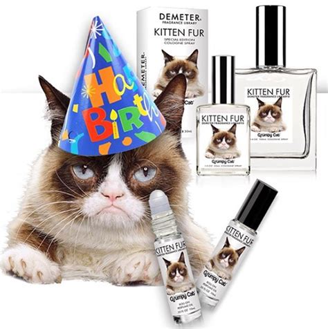 Murió Grumpy Cat La Gata Malhumorada Famosa Y Millonaria Gracias A