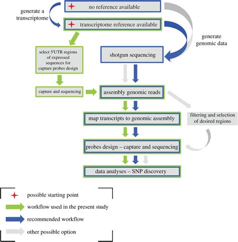 Alternative Capture Enrichment Based Workflows For Snp Discovery In Download Scientific Diagram