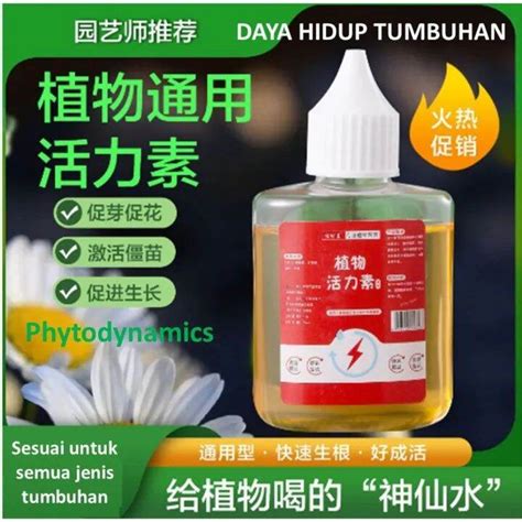 Plant Auxin Rooting Hormone Liquid Rooting Hormones For Plants Plant