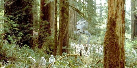 Star Wars Forest Wallpapers Top Free Star Wars Forest Backgrounds