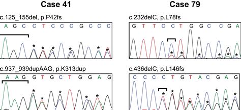 A Clinical Grade Sequencing Based Assay For Cebpa Mutation Testing The Journal Of Molecular