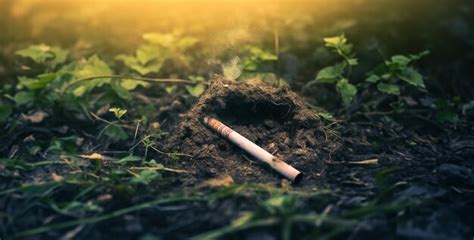 Premium Ai Image The Cigarette Is Laying On The Grass And Smoking Hd