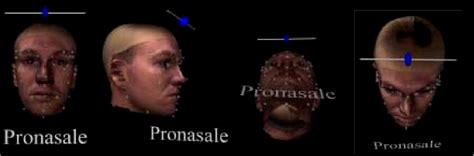 Figure 1 From A Web Based 3d Glossary For Anthropometric Landmarks Semantic Scholar