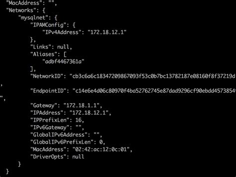 记录如何给docker的容器固定ip，方便其他容器进行容器内网ip访问 Lsz0210 博客园