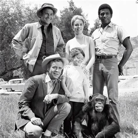 Watch Daktari • Season 1 Full Episodes Free Online Plex