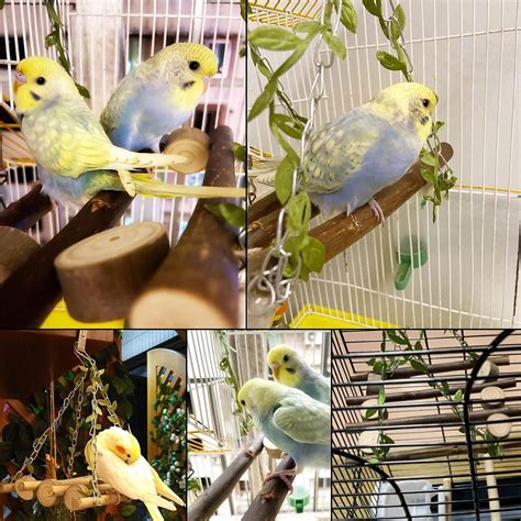 Kathson Wood Bird Swing Toys Natural Parrot Perch Wooden Stand Platform
