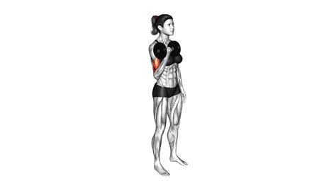 Effective Single Arm Biceps Curl For Women Video Guide And Tips