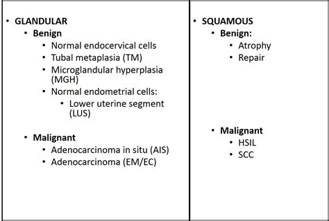 Hyperchromatic Crowded Groups Cytoweb Practical Cytopathology