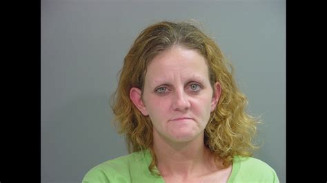 Woman Hid Meth In Disney Princess Purse Police Say