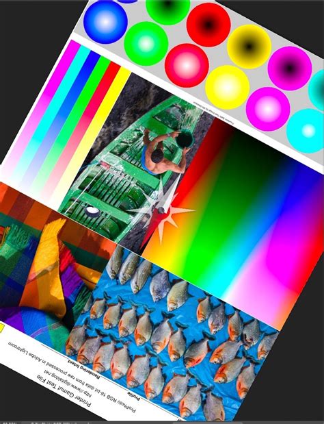 Rotate View Tool No Longer Working Adobe Community 11267388