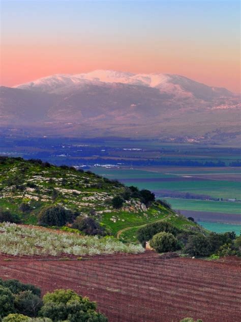 Israel Weather In March 2025 The Beginning Of Spring Places To Visit