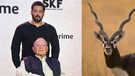 Salim Khan Said Salman Is Not Guilty In Black Buck Poaching Case What