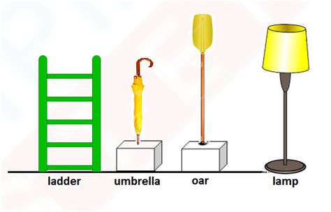 Class 1 Imo Maths Olympiad Online Chapterwise Practice Tests Olympiad Tester