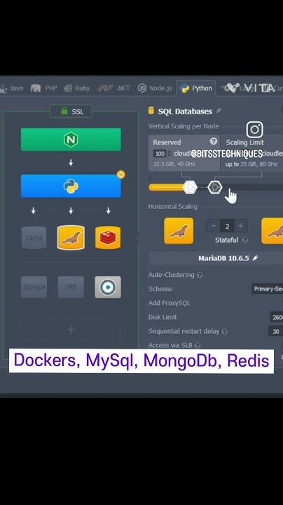 Cloud Hosting For Developers Python Nodejs Ruby Php Net Sql