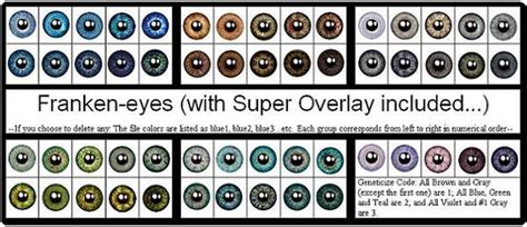 Pin By Yanklaus On Raça E Etnia Eye Color Chart Eye Color Sketch Book