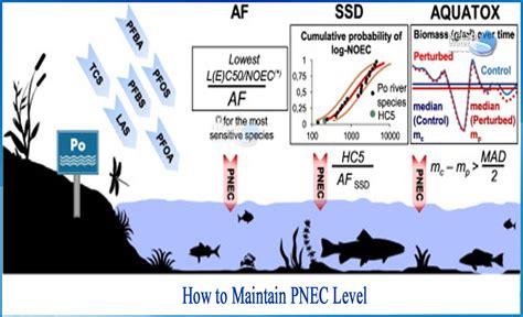 How To Maintain Pnec Level Netsol Water