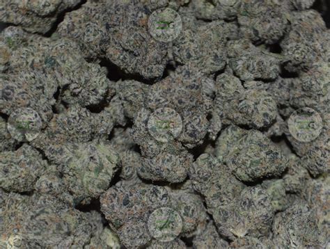 Strain Profile Bad Apple Zaa Zaa Galaxy Cannabis Dispensary Dc