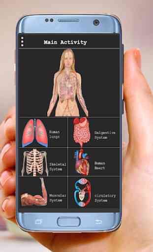 Human Anatomy Bones And Internal Organs Anatomical Android App Allbestapps