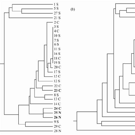 Principal Coordinate Analysis Pcoa Plot Based On Rapd A And Issr