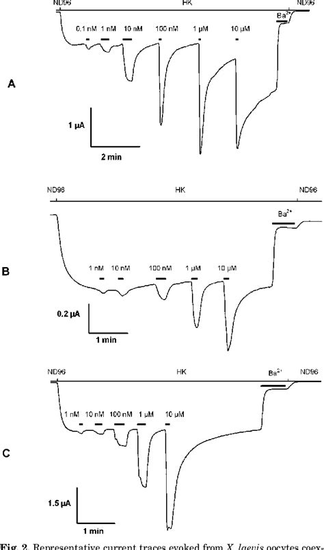Figure 1 From Interaction Of P Fluorofentanyl On Cloned Human Opioid