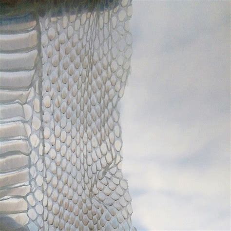 Translucent Snakeskin Home Decor