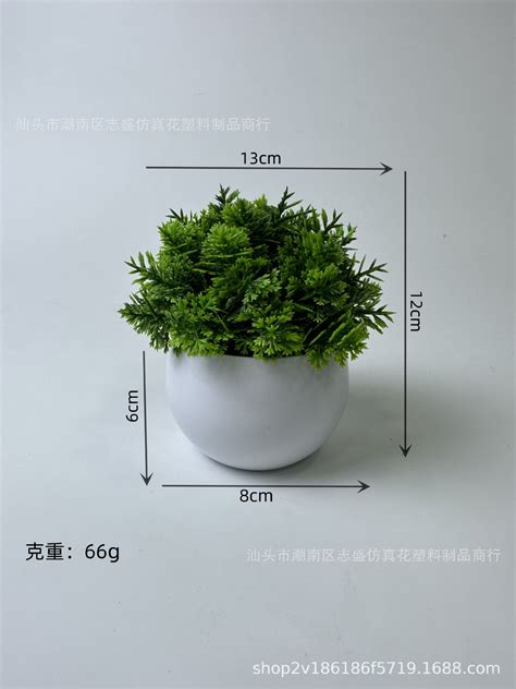 仿真花仿真盆栽仿真绿植半圆球突松菊松办公室造景亚马逊厂家批发 阿里巴巴
