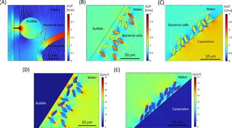 Modeling Of The Electric Field Distribution And Charge Accumulation For Download Scientific