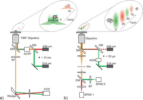 Figure 21 From Engineering Mononucleosomes For Single Pair Fret
