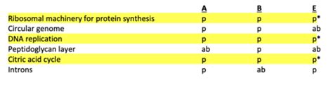 Biol Final Exam Flashcards Quizlet
