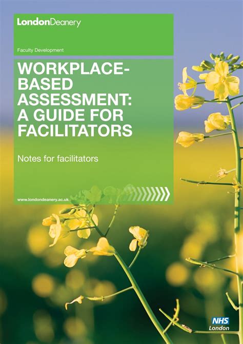 Workplace Based Assessment A Guide For Facilitators Faculty