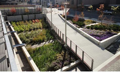 Urban Rain Garden By Insite Studio Sustainable Urban Water Solutions