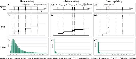 Figure 1 From Fast And Efficient Information Transmission With Burst