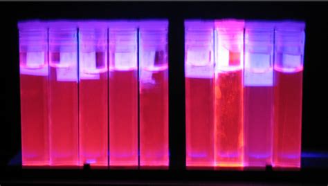 Naked Eye Detection Under A Uv Vis Lamp Same Order As Above For Fig 5