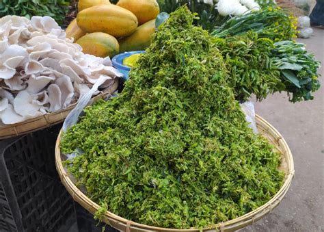 ပေါ်ဦးပေါ်စရာသီစာ သမုန်းဖူး၊သမုန်းပွင့်များ ရောင်းအားကောင်း Myanmar
