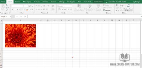 comment ins rer une image dans une cellule sur excel hot sex picture