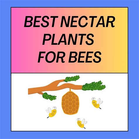 27 Best Nectar Plants For Bees Bee Friendly Gardening