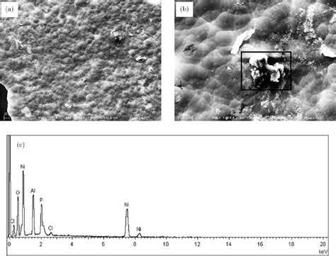 Sem Image Of A B Corrosion Morphologies Of The Ni P Coating When The Download Scientific