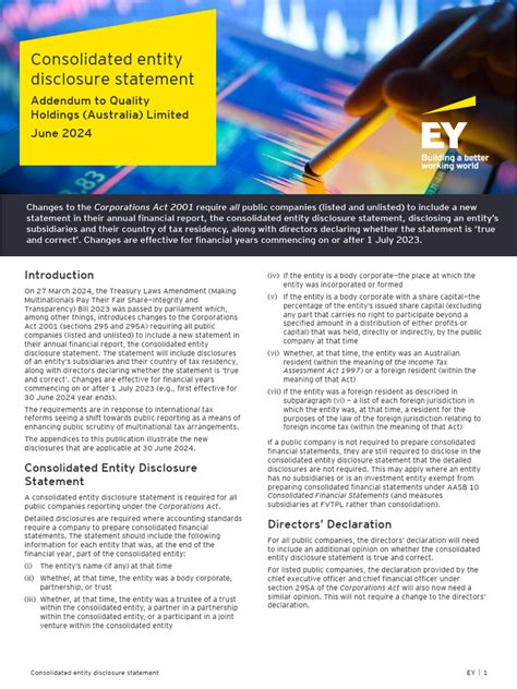 Subsidiary Disclosure Statement External Quality Holdings Addendum 30