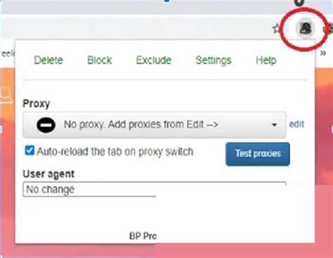 bp proxy guide to using proxies with bp proxy switcher