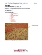 Lab Reproductive System Pdf Lab The Reproductive System Babe Name Access Code