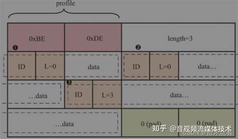 从webrtc学习rtp协议 知乎