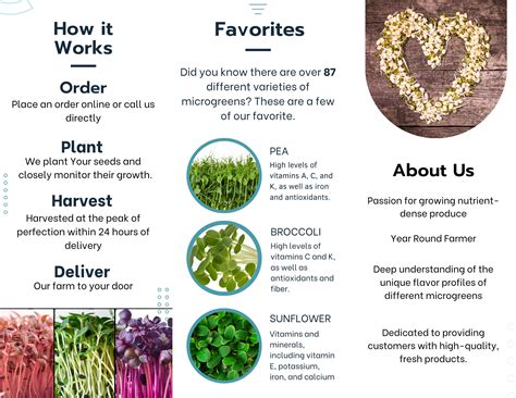 Microgreen Brochure Farmers Market Educational Microgreen Handout Etsy